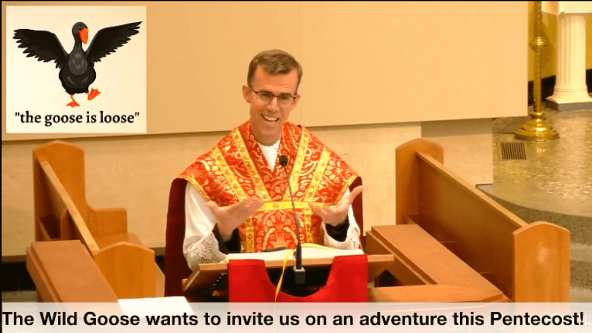 The Wild Goose | Homily for Pentecost Year B – Fr. Richard Conlin ...