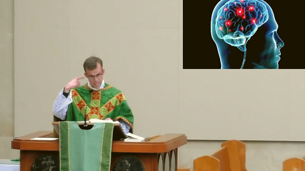 A Neural Pathway to God | Fr. Richard Conlin – 13th Sunday Year B ...