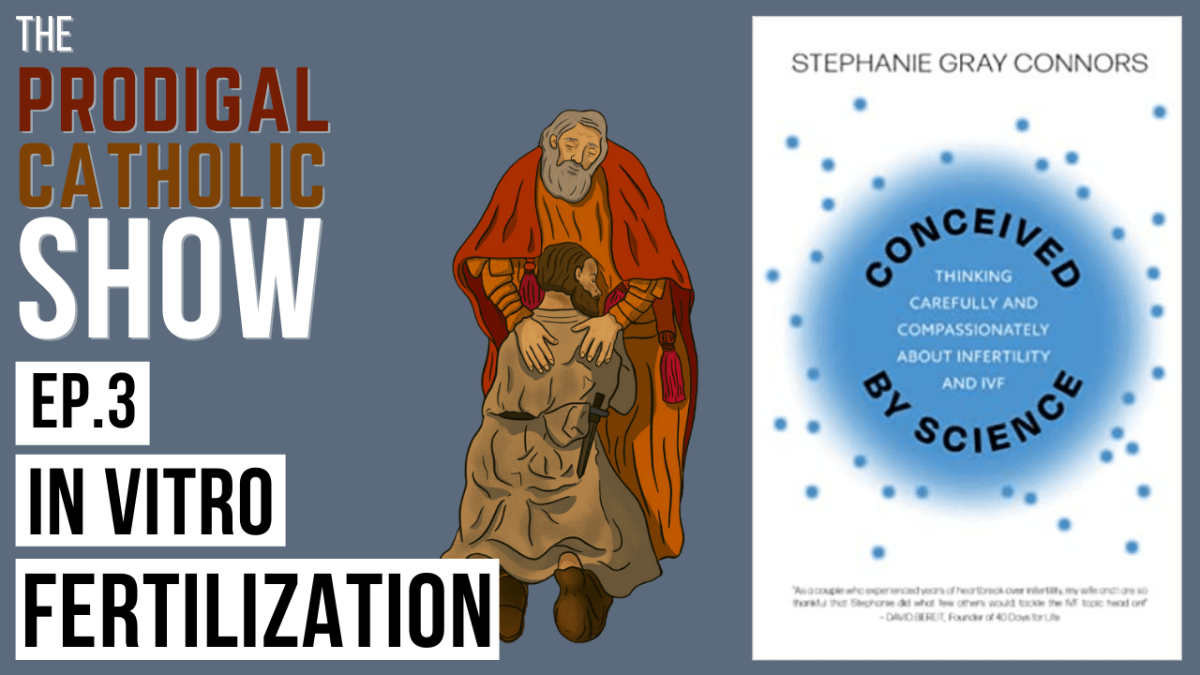 In Vitro Fertilization | An Interview with Stephanie Gray Connors ...