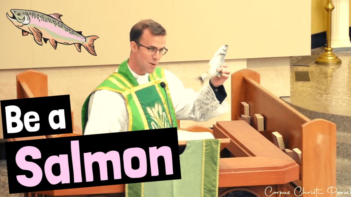 Be a Salmon | Homily for 20th Sunday (Year C) – Prodigal Catholic