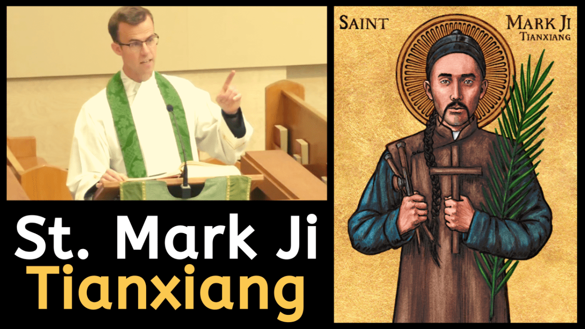 St. Mark Ji Tianxiang: Drug Addict Saint | Fr. Richard Conlin’s Homily ...