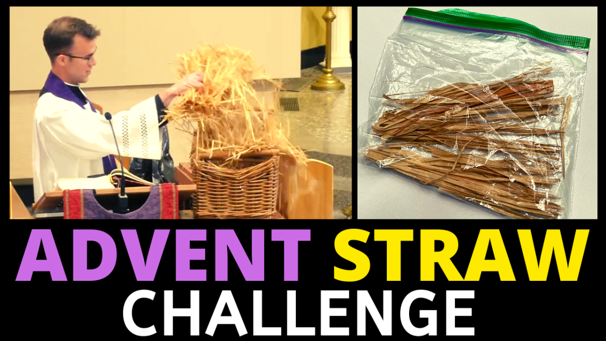 The Advent Straw Challenge | 1st Sunday of Advent (Year A) – Prodigal ...