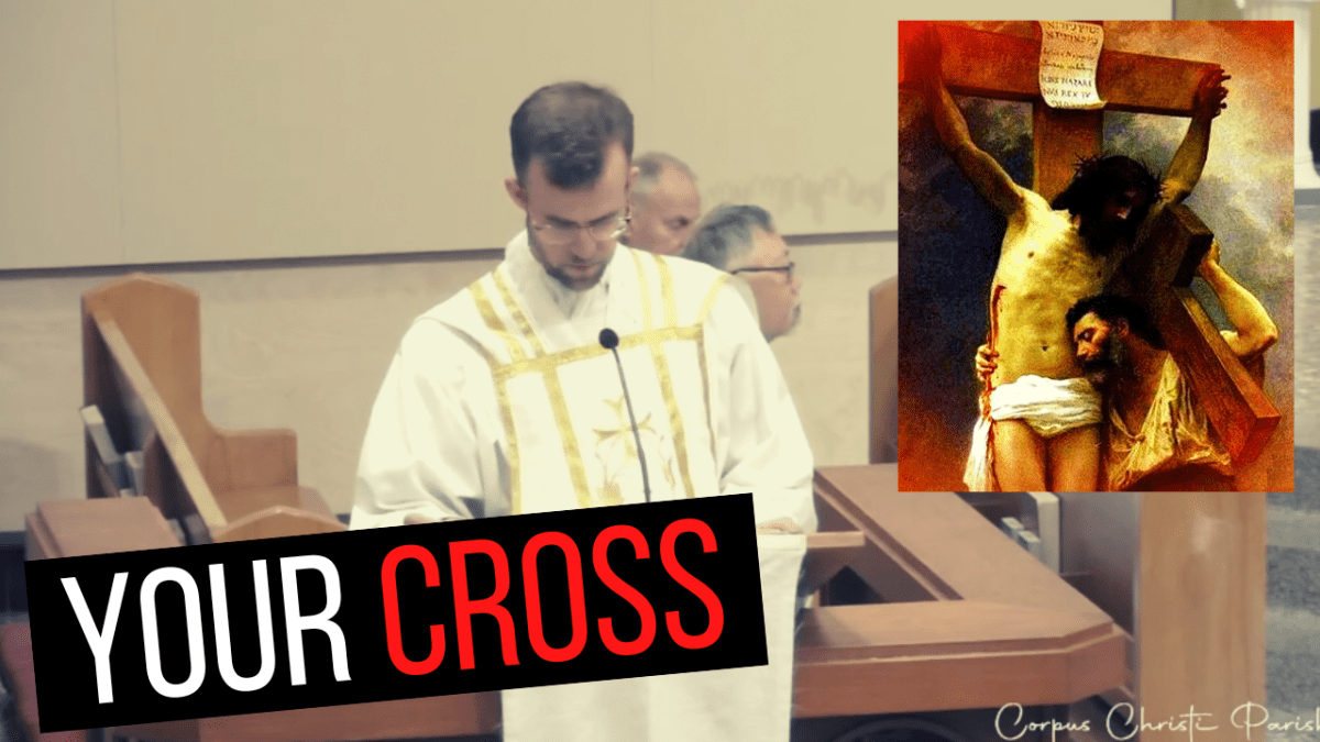 Your Cross by St. Francis de Sales | Homily – Prodigal Catholic