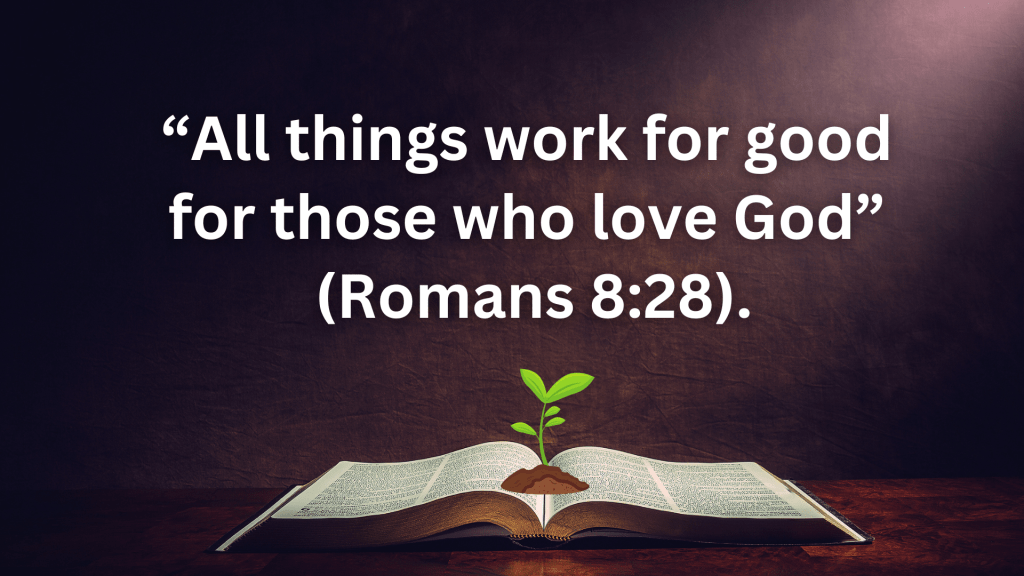 Praying with Scripture | Part 3 | Homily for 23rd Sunday – Prodigal ...